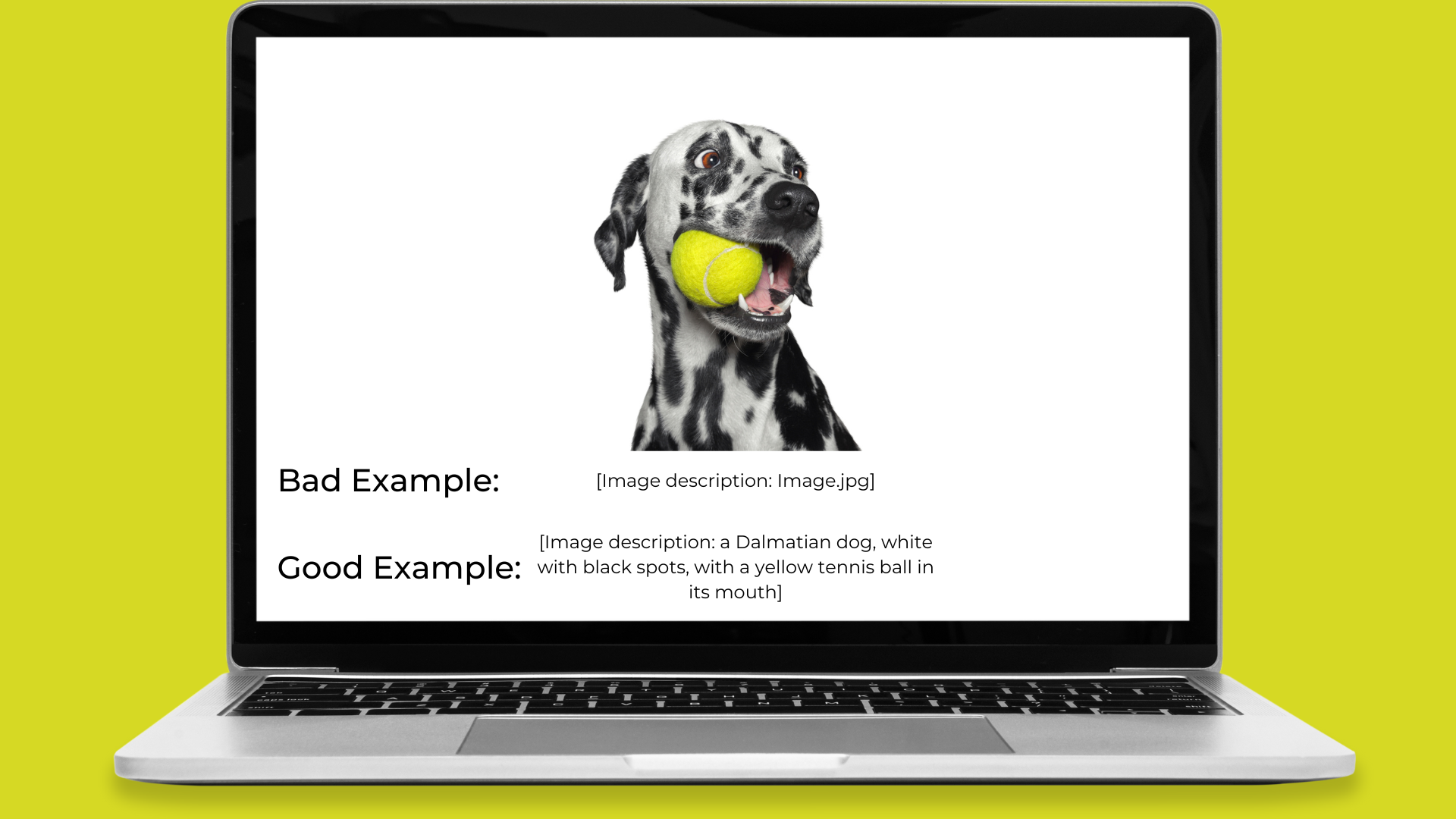 What is Non-Text Content?